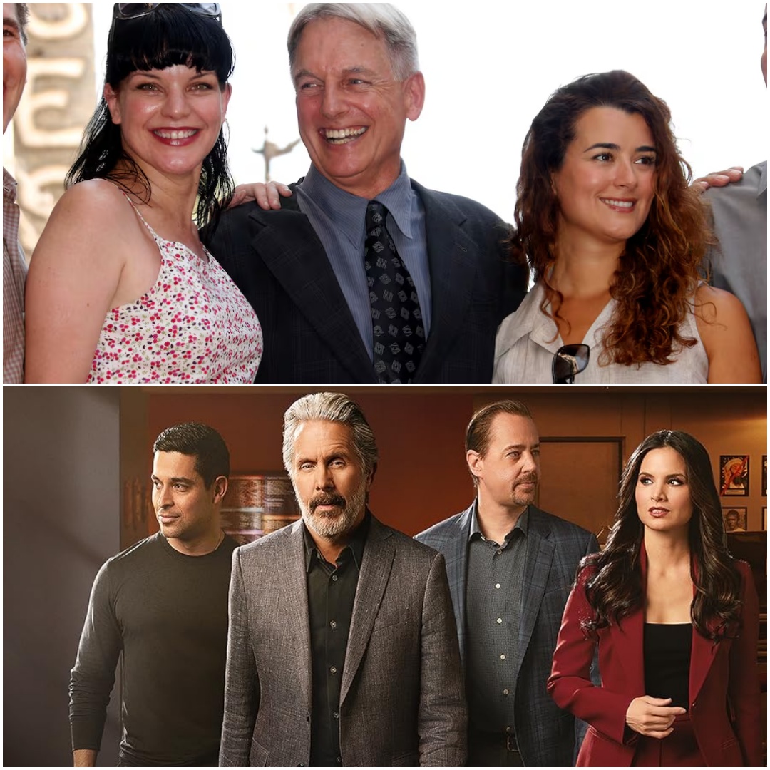 The Surprising Feud on NCIS That Made Mark Harmon The Show’s Most ...