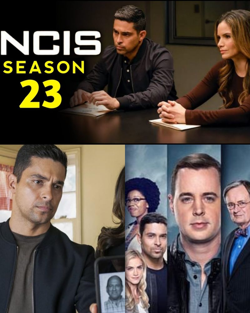 NCIS Season 23 Is Coming — But One Star Just Teased a Shocking Twist ...