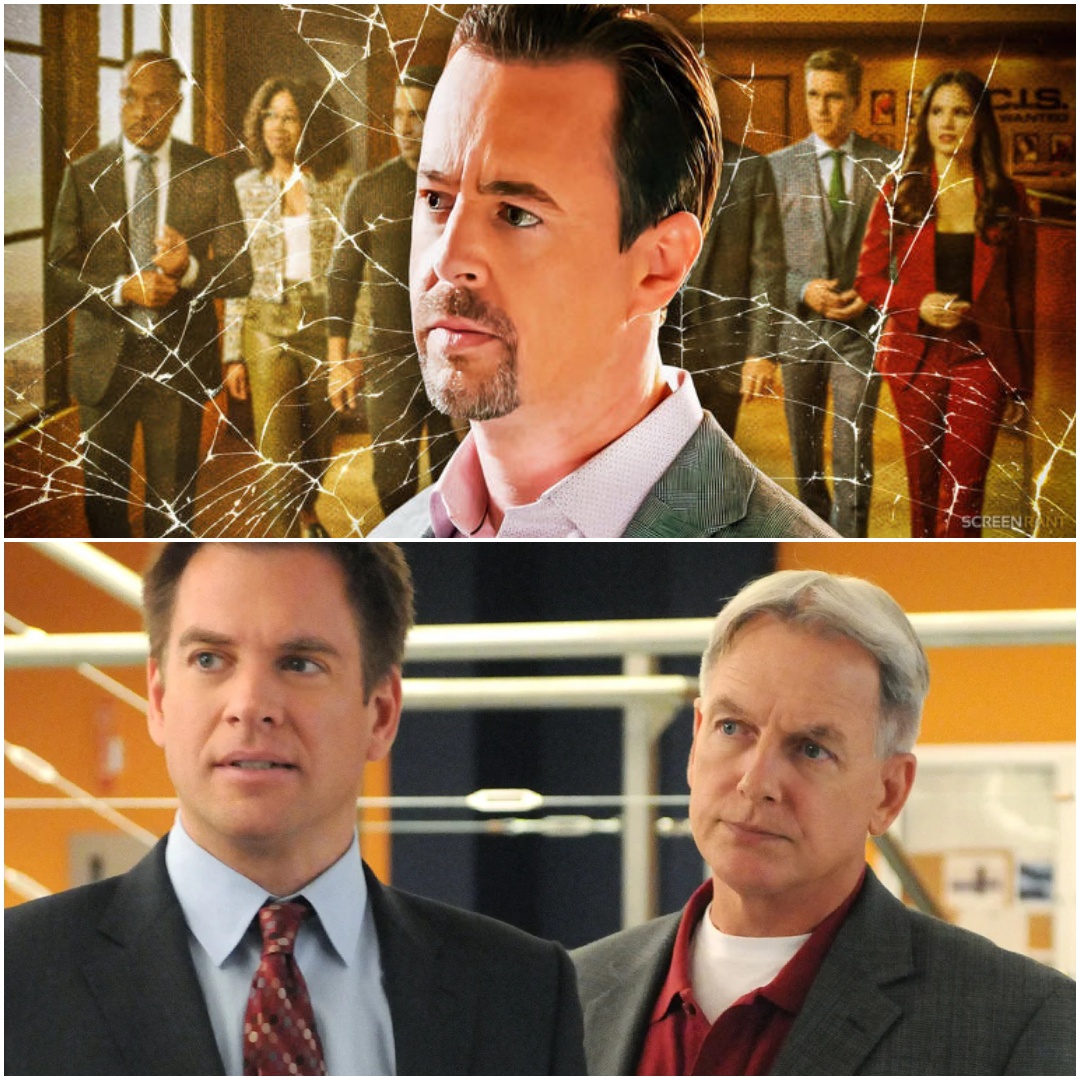 NCIS Boss Drops Bombshell: McGee's Deputy Director Ambitions Were Never ...