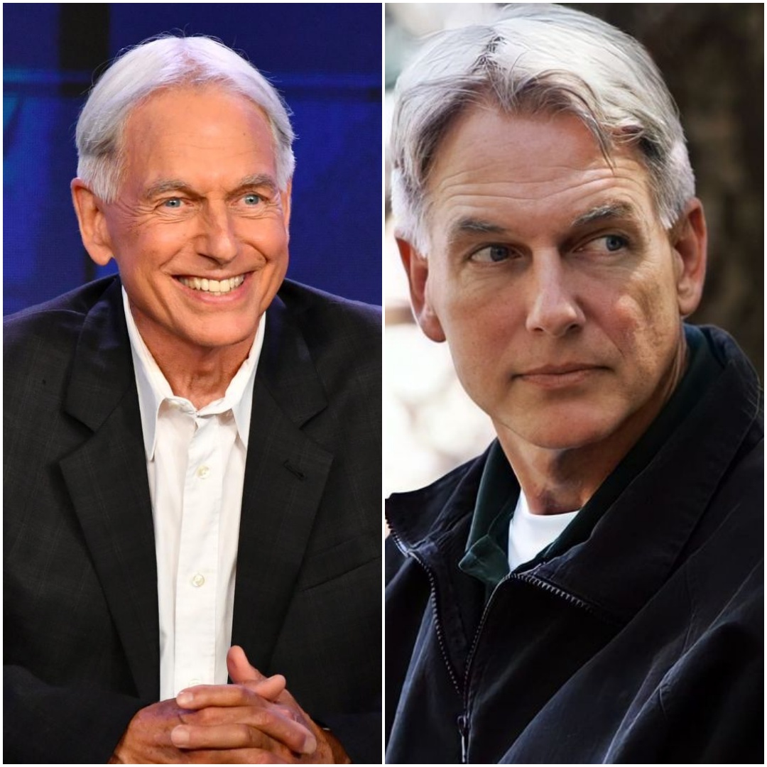 NCIS Icon Mark Harmon Drops Massive Hint About His Future — Fans Can’t ...