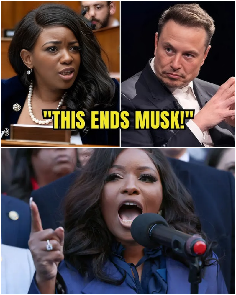 Elon Musk DESTROYS Jasmine Crockett in Congress — Crowd GASPS, Clip ...