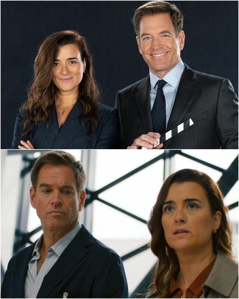 NCIS Fans Go Wild as Tony and Ziva Return for High-Stakes Family Rescue ...