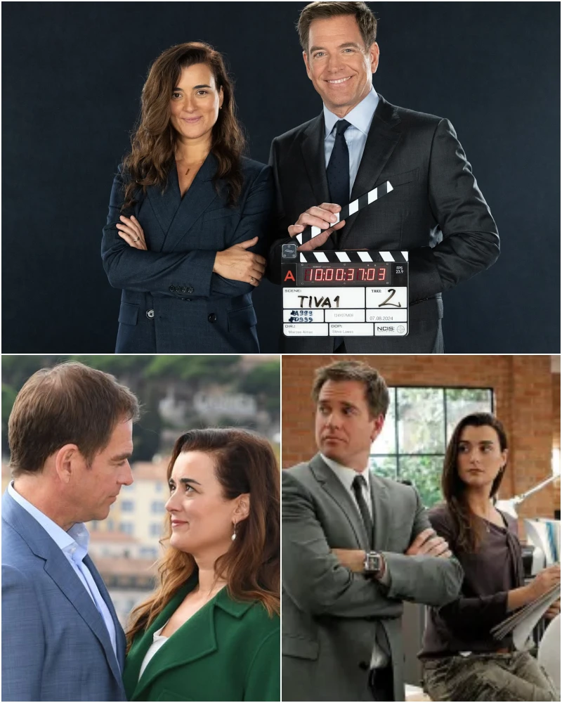 NCIS star gives absolutely thrilling update on release of Tony and Ziva ...