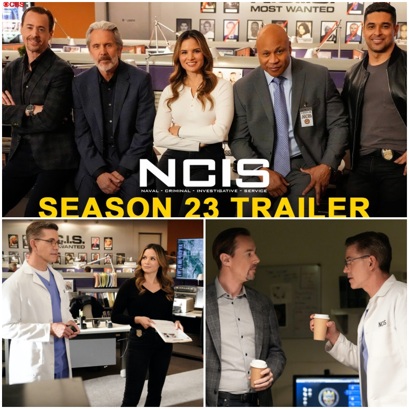 “NCIS” Finale Bombshells: What Just Went Down — And What It Could Mean ...