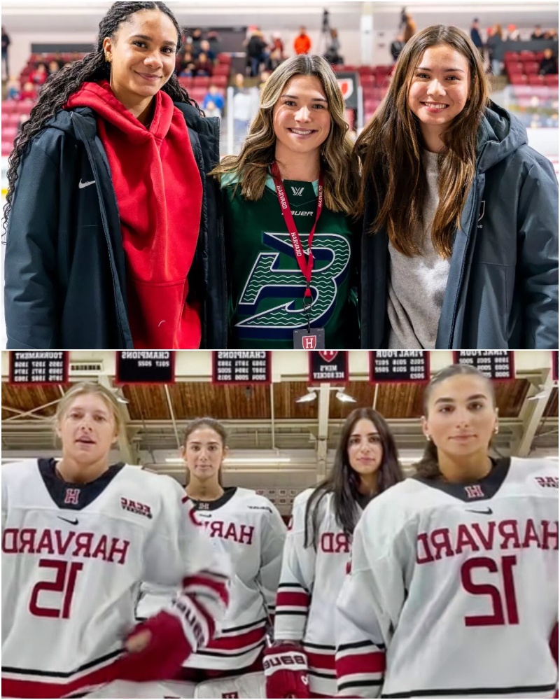VIDEO: Harvard Women’s Hockey Team Take Over The Internet With Insane ...
