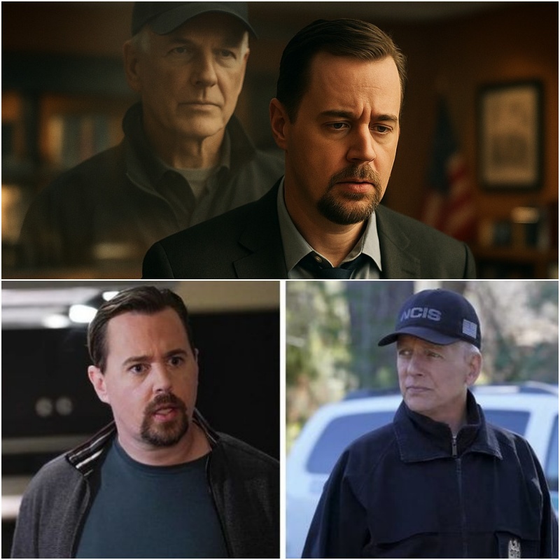 NCIS Hits Fans Right in the Feels With Surprise Gibbs Moment McGee’s ...