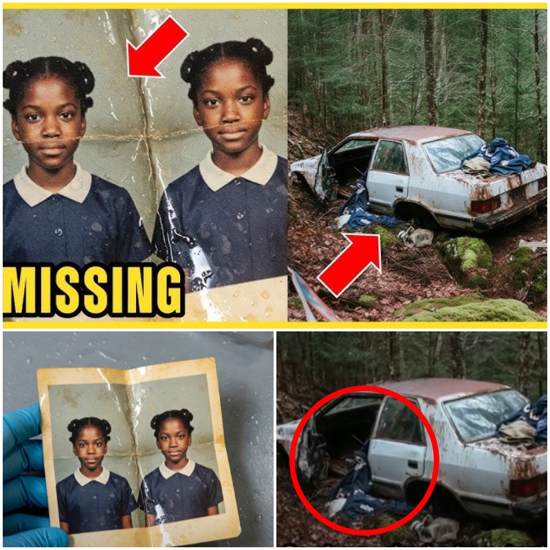 Black Twin Sisters Vanished in 2004 — 20 Years Later, Only One Came ...
