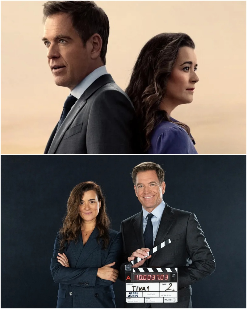 SH0CKING TRUTH Behind Tony and Ziva’s Reunion Revealed as Michael ...