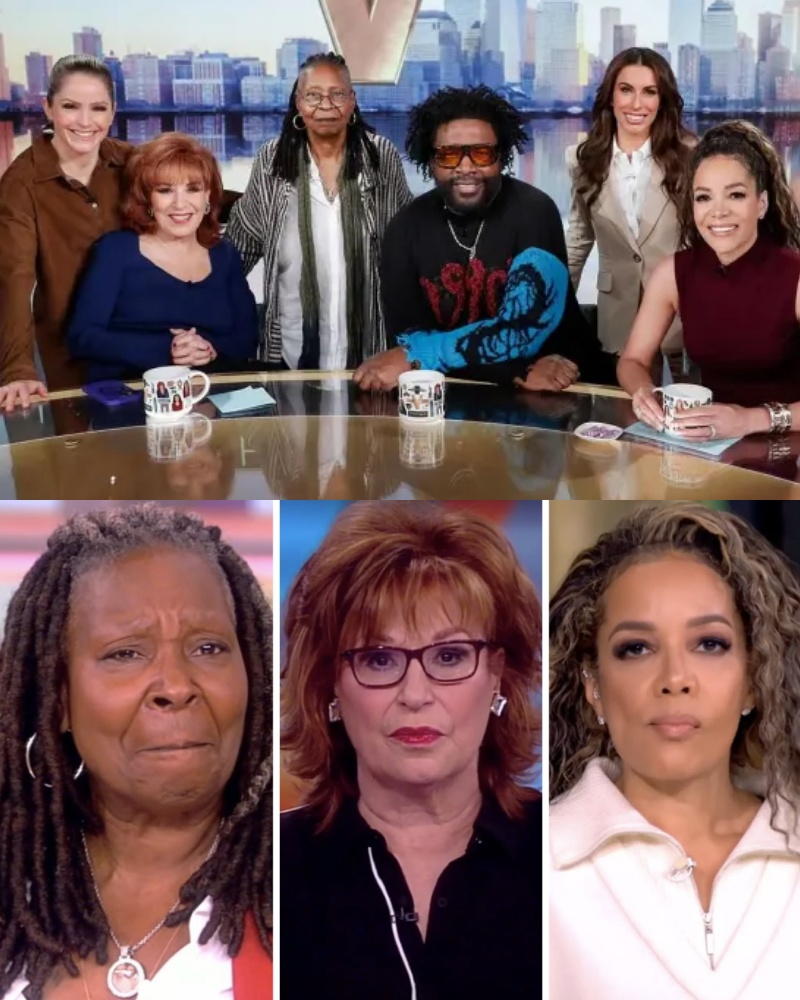 The View Hosts Catch Heat After ABC Drops Warning And Now Everyone’s Talking About What Went ...