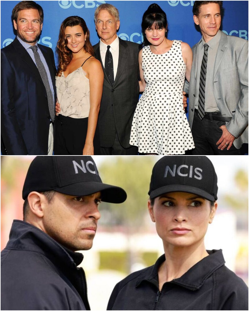 NCIS fans are going at it online — and it’s all over one question: Who ...