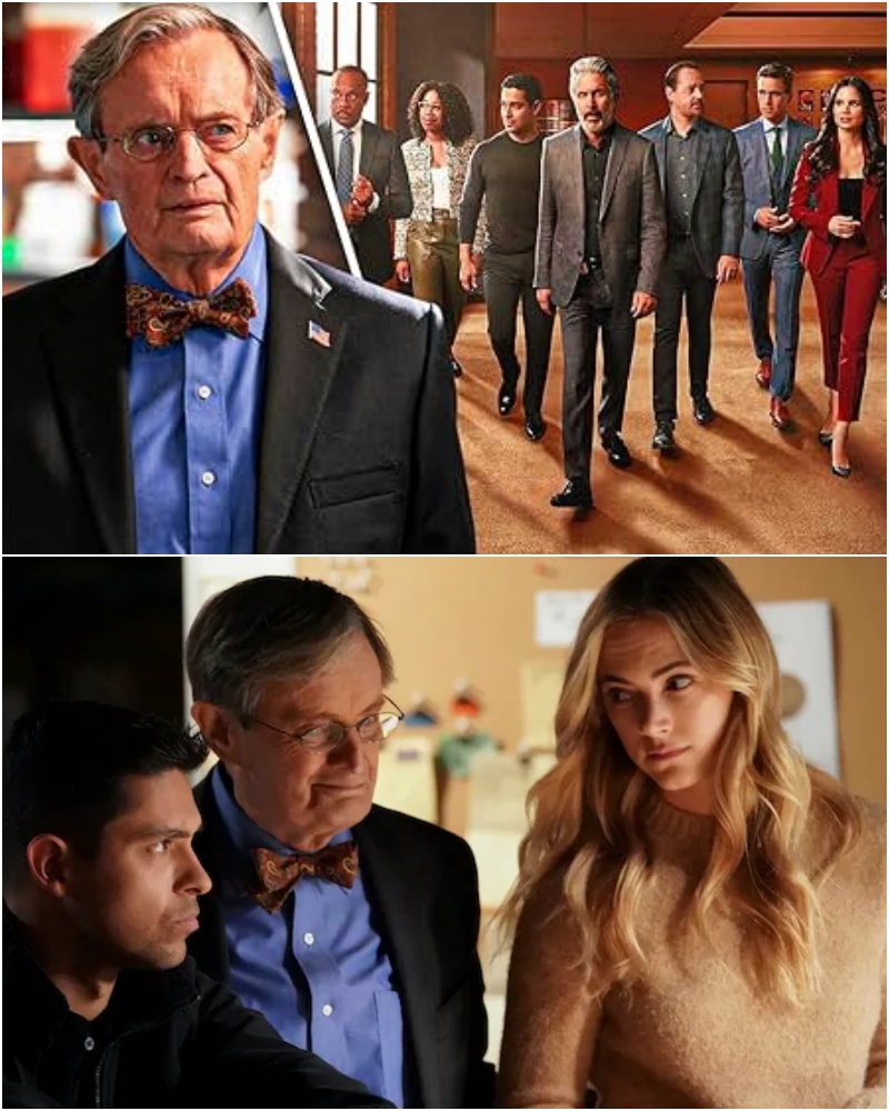 This Forgotten NCIS Character Might Take Over ‘Origins’ Season 2 and Fans Are Starting to ...