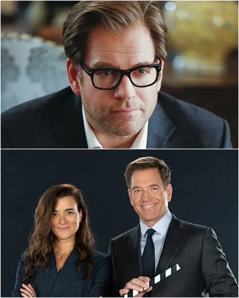 Reveal: Michael Weatherly Drops Sh0cking Tali Update In New Tony And ...