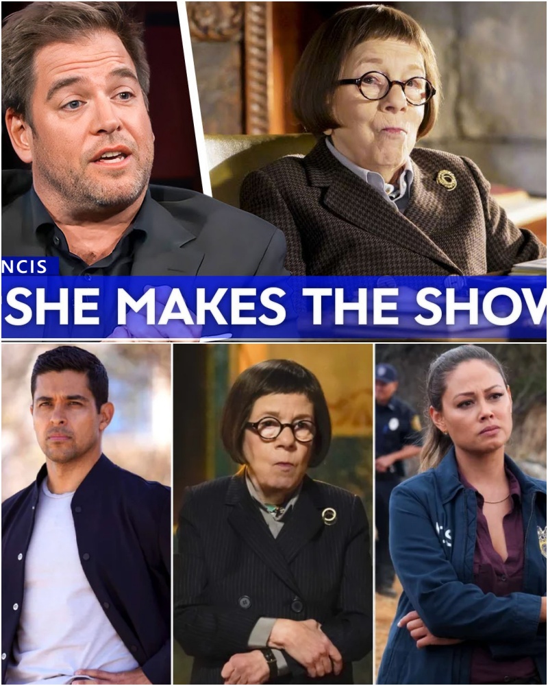 FAN RANKINGS ARE IN: NCIS Viewers Just Named Their All-Time Favorite ...