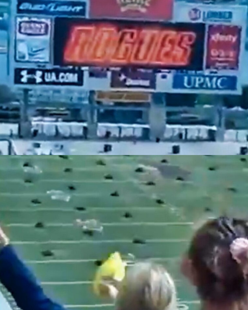 VIDEO: Explosive Fan Footage Of Batman ‘The Dark Knight Rises’ Shot At ...