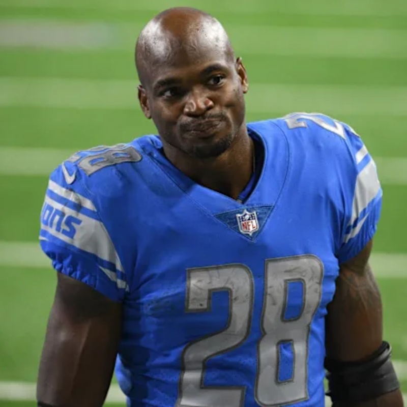 NFL Legend Adrian Peterson’s Stunning Career Pivot to a Wildly ...