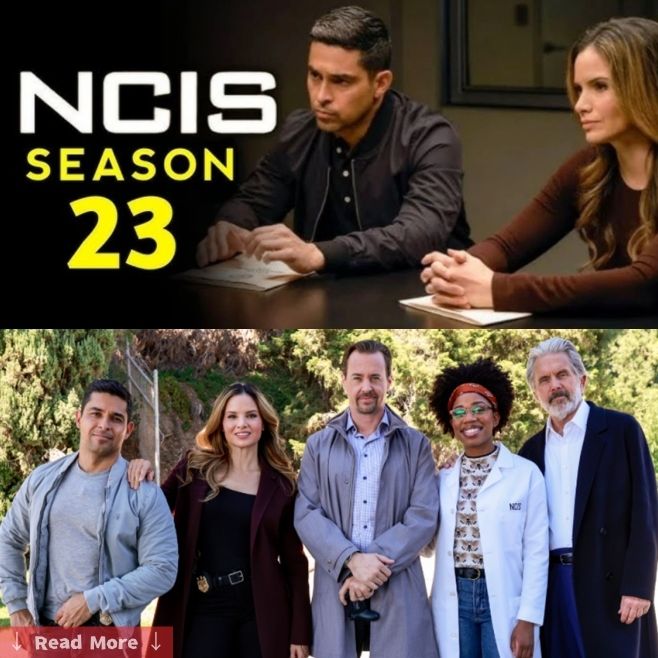 NCIS Fans Stunned As Season 23 Details Emerge And It’s Not What Anyone ...