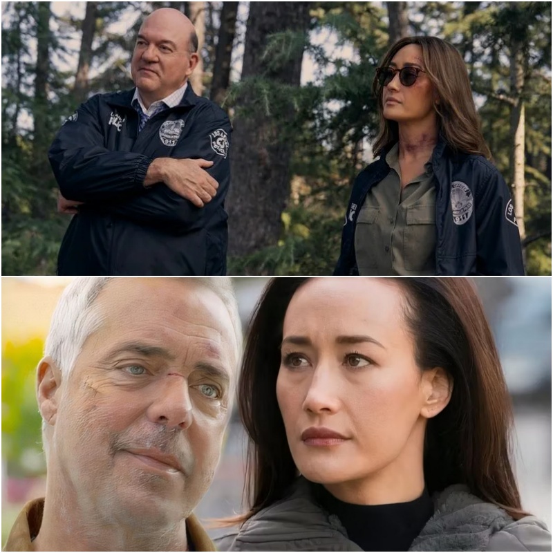 Netflix’s New Detective Show Has A Perfect 100% Score And A Chilling ...