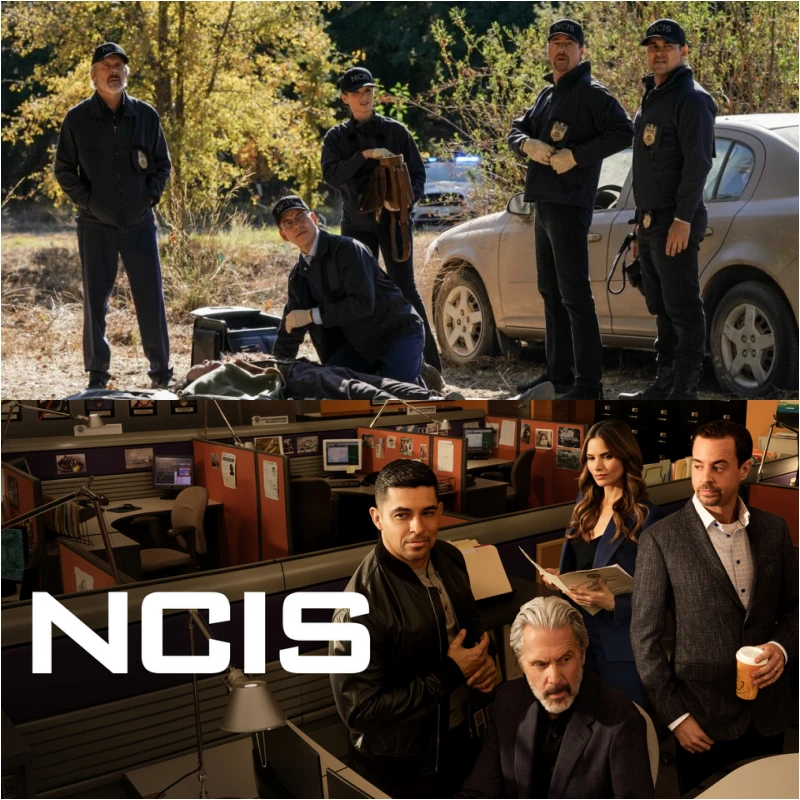 LATEST NEWS: NCIS Season 23 Just Announced A Shocking New Cast And ...