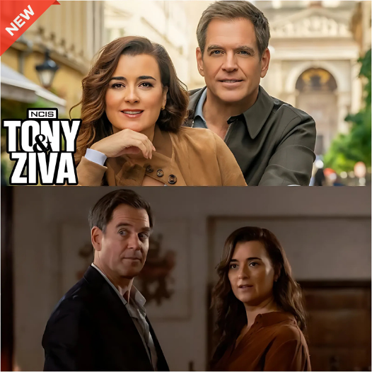 Cote Reveals The One Thing She Refuses To Do On NCIS And While Michael ...