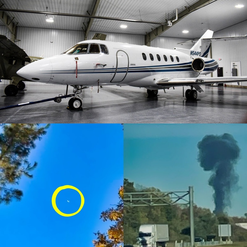 Chilling Audio Captures Panicked Private Jet Pilot Crying Out as Plane ...
