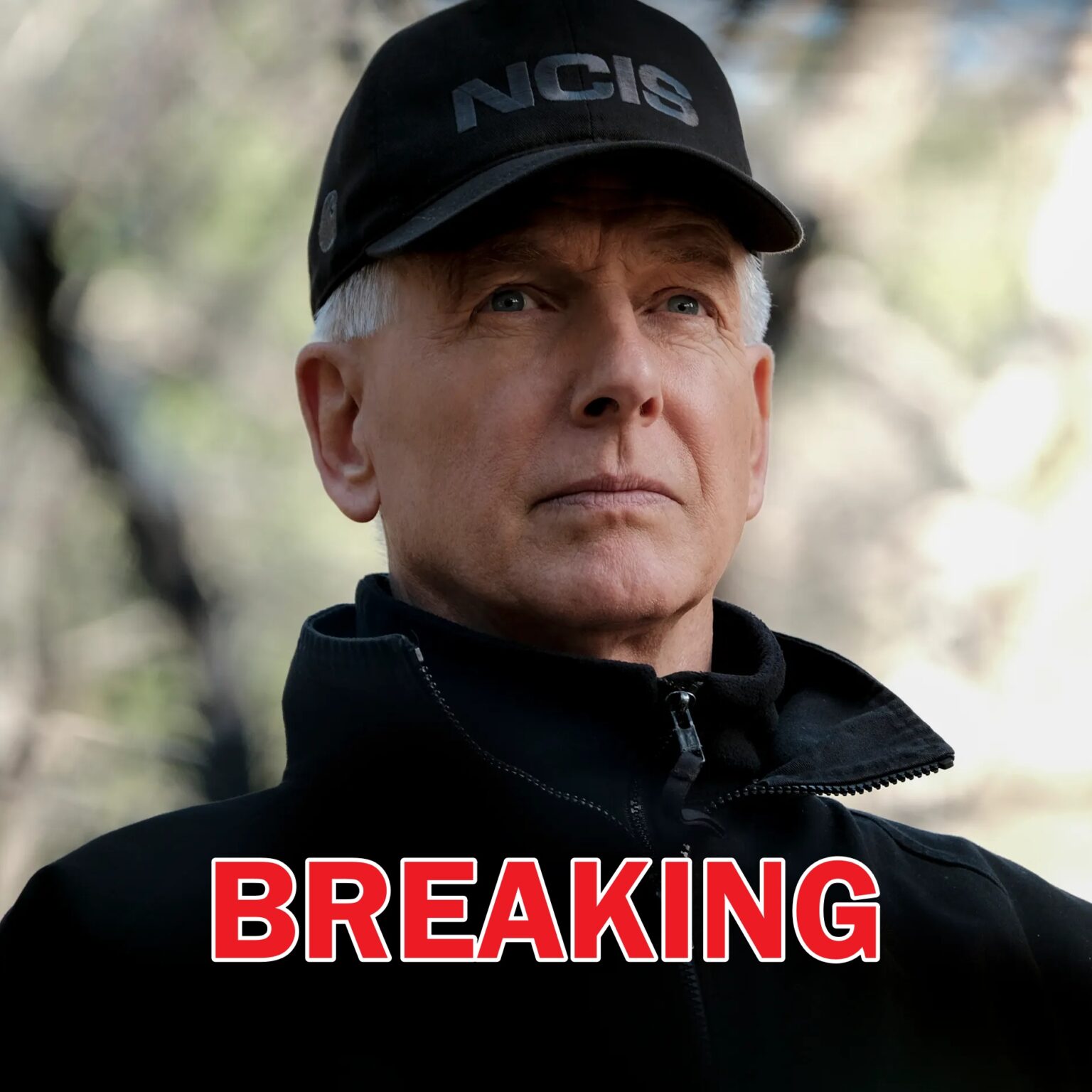 Mark Harmon’s Surprise NCIS Return Sends Fans Into Total Meltdown After 4 Years Away - News